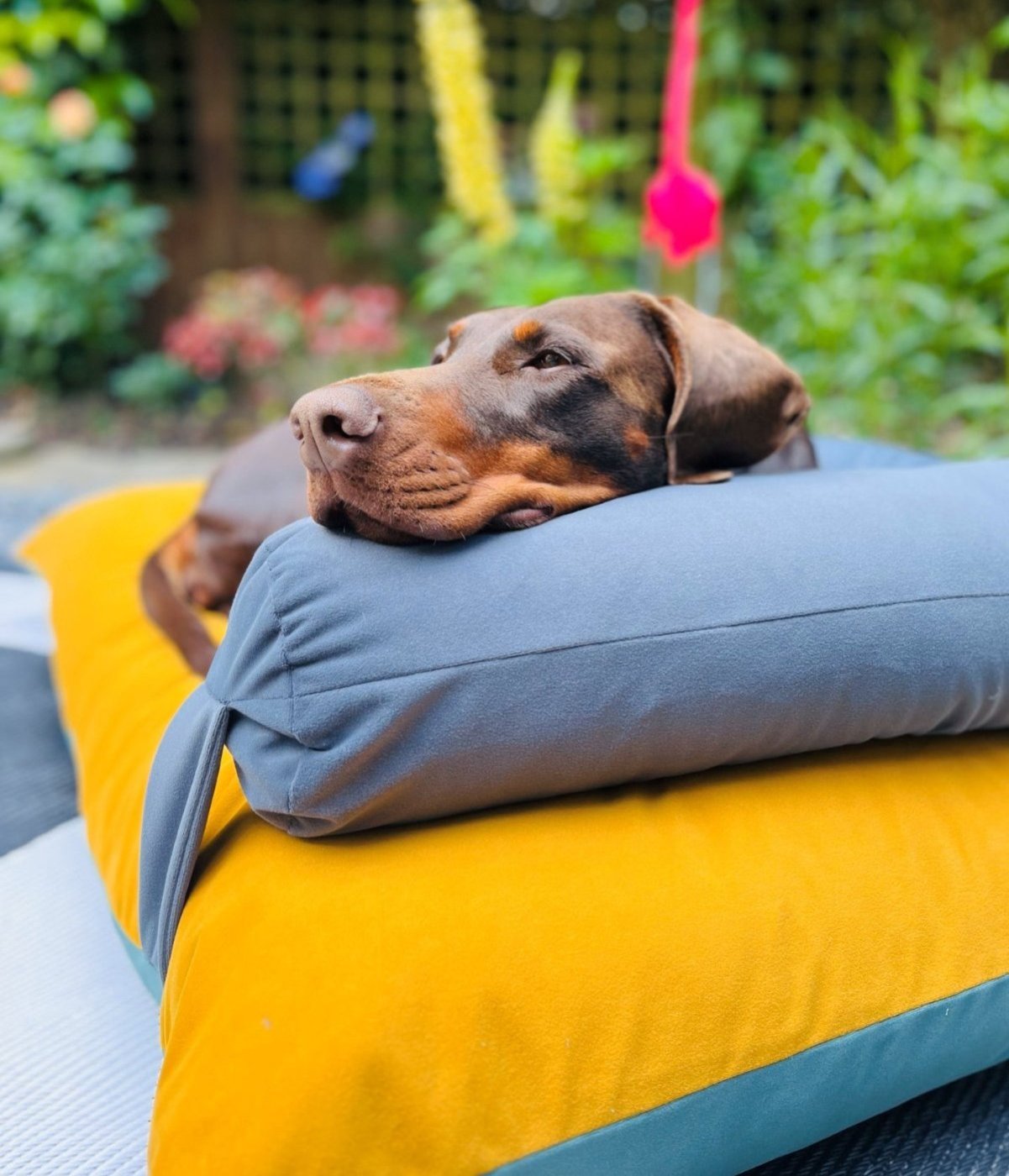 K-9 CANDY BED - REVERSIBLE DESIGN - JADE / MUSTARD / STEEL